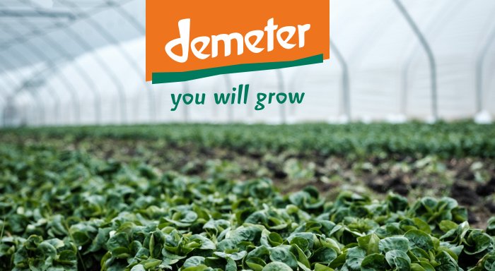 Willkommen|Gärtnerhof4Jahreszeiten